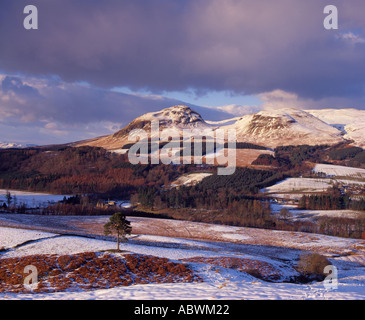 Dumgoyne Hill Campsie Hills Strathblane nr Glasgow Scotland Stock Photo ...