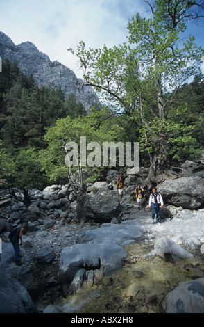 Greece Kreta Samaria Schlucht Ravine Gorge Valley Stock Photo - Alamy