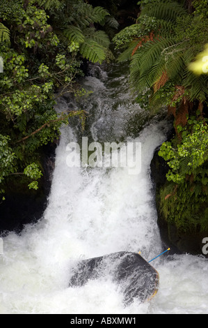 Kayaking the 7 metre Tutea falls on the Kaituna River Rotorua New ...