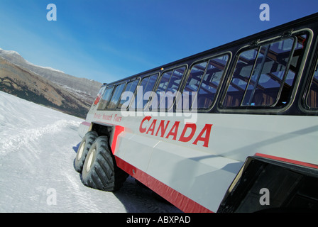 Brewsters Snocoach Ice Explorer Columbia Icefield Athabasca glacier ...