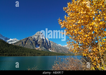 Howse Peak and Mount Chephren from Waterfowl Lake, Banff Nationalpark ...