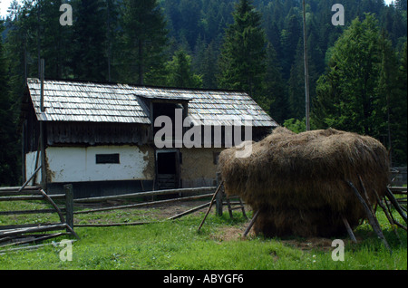 Traditional ocupation on Tarcau Valley area with agresive deforestation ...