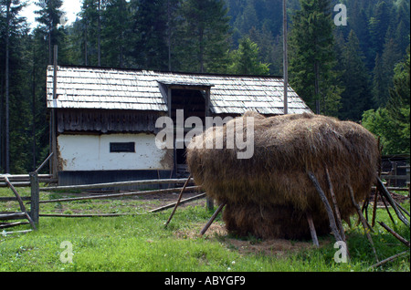 Traditional ocupation on Tarcau Valley area with agresive deforestation ...
