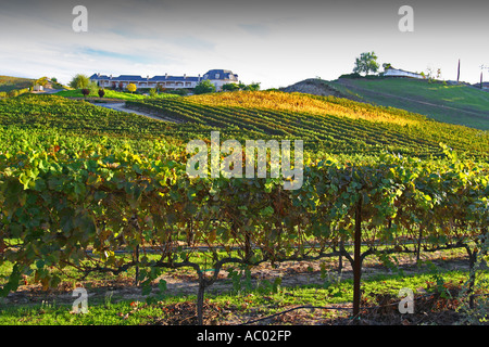 Churon Winery, Temecula Valley, Southern California, USA Stock Photo ...