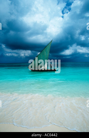 Dhow sailing boat Lateen rigged coastal sailing vessel of Arab origin ...