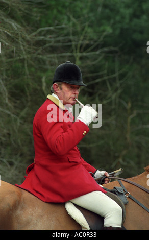 Huntsman blowing horn to call fox hounds at the Iroquois Hunt in ...