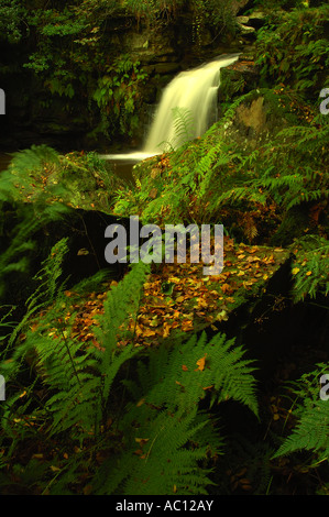 Thomasson Foss, Beck Hole Stock Photo - Alamy
