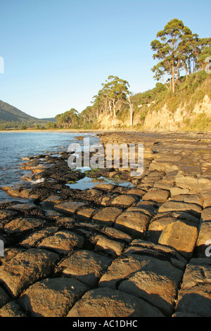 The Tessellated Pavements a geological formation on the Tasman ...