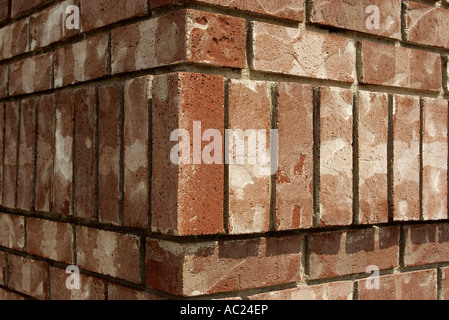 Wall of bricks with soldier row Stock Photo - Alamy