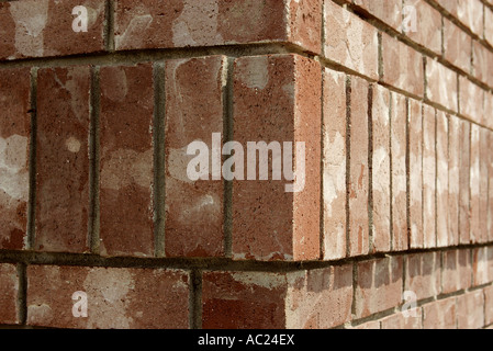 Wall of bricks with soldier row Stock Photo - Alamy