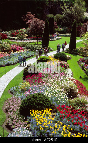 Cultivated garden of different flowers Stock Photo - Alamy