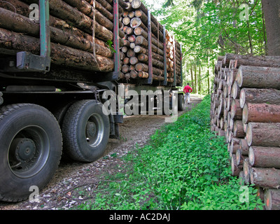 Truck transporting cut tree trunks Stock Photo - Alamy