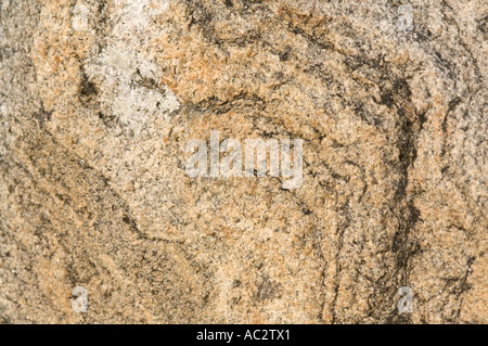 banded gneiss metamorphic rock, the Isle of Harris, Outer Hebrides ...