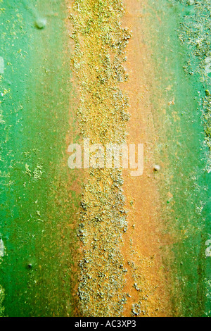 colourful textured pattern of rust and algae on steel sheeting Stock ...