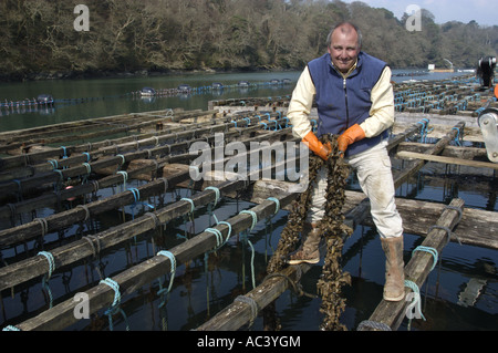 Jim Griffin holds a string of mussels growing on the biggest mussel ...
