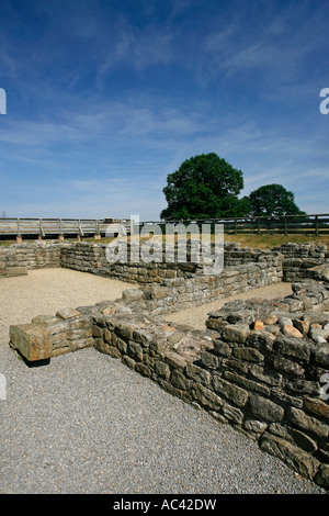Binchester Roman Fort County Durham England UK Stock Photo - Alamy