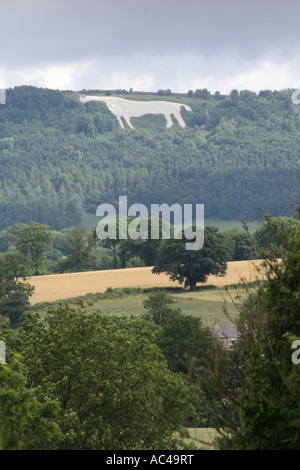 White Horse Coxwold North Yorkshire Stock Photo - Alamy