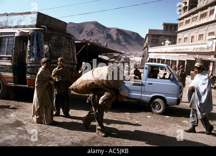 Street scene in Peshawar, Pakistan Stock Photo: 5164684 - Alamy