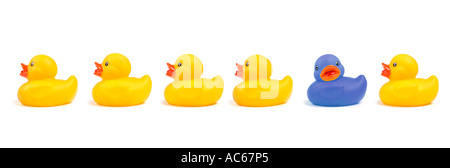 Line of rubber ducks with odd one out Stock Photo - Alamy