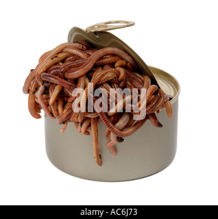 Can of Worms Stock Photo - Alamy