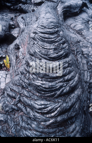 Hardened lava flow on Hawaii Island Stock Photo - Alamy