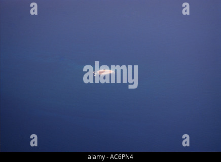 PITTI ISLAND FAMOUS FOR BIRDS IN LAKSHADWEEP Stock Photo - Alamy