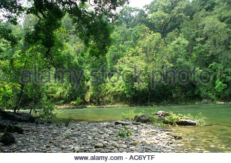 SILENT VALLEY NATIONAL PARK PALAKKAD Stock Photo: 8832002 - Alamy