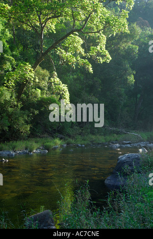 SILENT VALLEY NATIONAL PARK PALAKKAD Stock Photo - Alamy