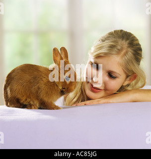 young pygmy bunnies Stock Photo - Alamy