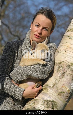 female French Bulldog Stock Photo - Alamy