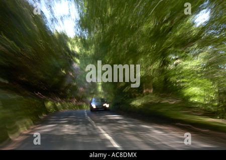 Headlights of car on coming on road in monsoon fog and fresh green ...