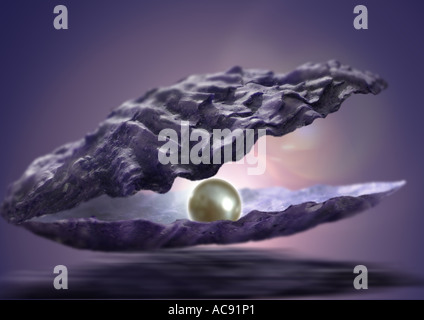 Atlantic pearl-oyster (Pinctada imbricata), pearl Stock Photo - Alamy