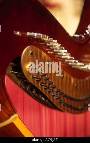 Heart shaped harp. Tuning pegs of modern concert harp, showing the ...