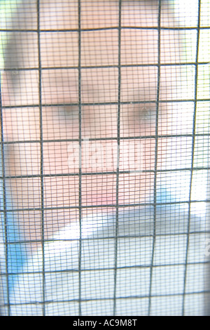 Mosquito net window screens protection against insect Stock Photo - Alamy