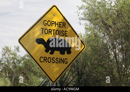 Warning sign, gopher tortoises crossing the road, Sanibel Island ...