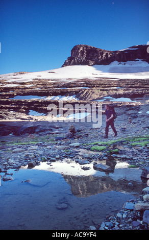 Glacier National Park's backcountry trails offer a rugged and scenic ...