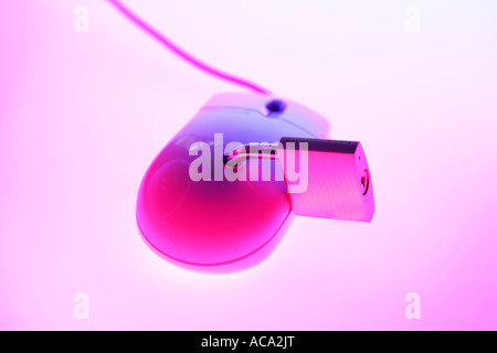 Symbolic photo, computer safety, Computer mouse with lock Stock Photo ...