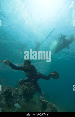 Fisher catch Pacific needlefish with a net, Philippines Stock Photo - Alamy