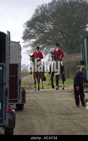 Fox hunting Master prepares to hunt with the hounds UK Stock Photo - Alamy