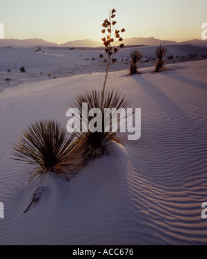 White Sands National Monument, New Mexico, USA Stock Photo - Alamy