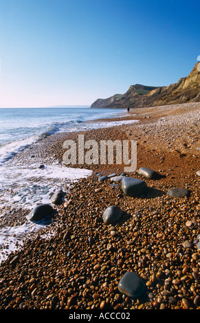 The Jurassic Coast at Eype, Dorset, UK Stock Photo - Alamy