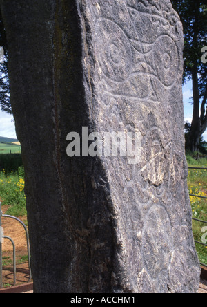 The Picardy Stone, a carved Pictish symbol stone near Insch in ...