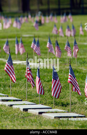 American flags on grave sites of veterans on Memorial Day Stock Photo ...
