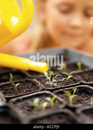 Plants are being watered by a watering can Stock Photo - Alamy