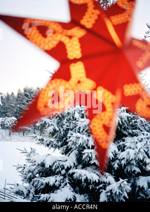 An Advent star in a window Stock Photo - Alamy