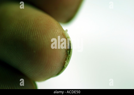 Skin under finger nails When found on victim this often mean that the ...