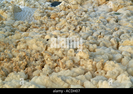 Foam on the Lake water. Dirt foam on the lake Stock Photo - Alamy