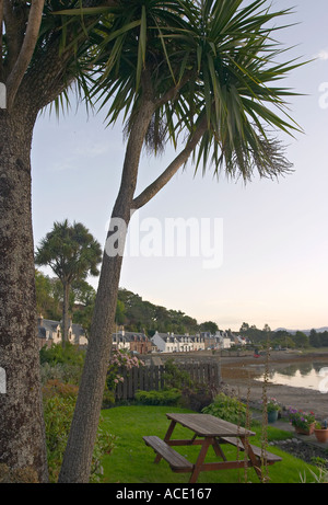 Houses and palm trees at Plockton harbour, Highlands, Scotland, UK ...