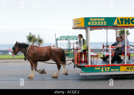 Manx transport Horse Drawn tram douglas isle of man IOM Stock Photo - Alamy