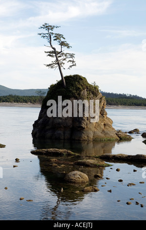 Barview Jetty, Oregon Stock Photo - Alamy